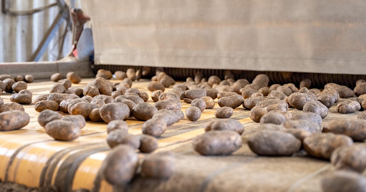 Aus Liebe zur Kartoffel - Eurogast Österreich